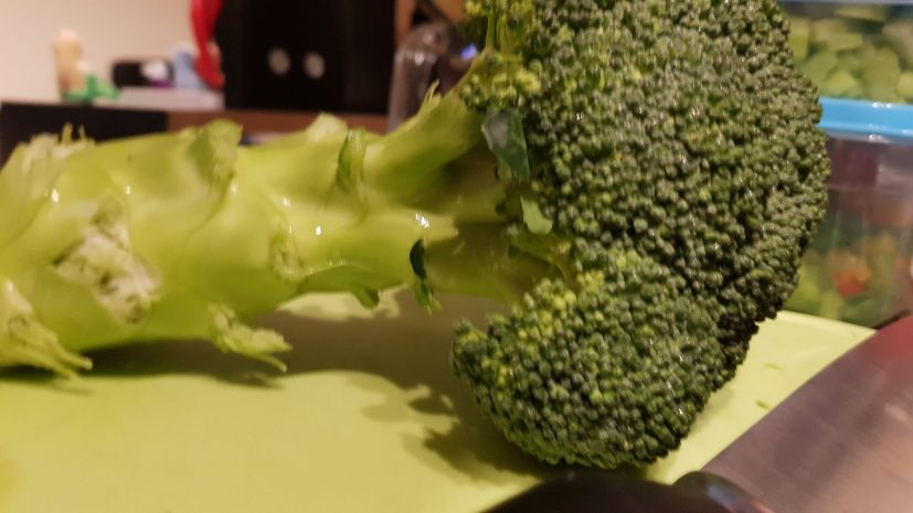 Can Rabbits Eat Broccoli, Alternatives and Benefits | Cottontail Club