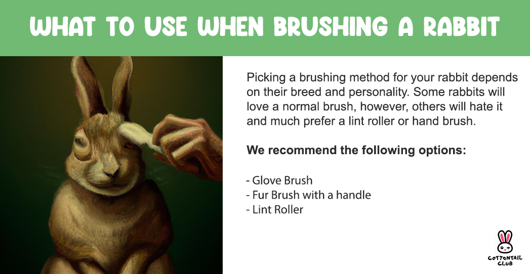 Rabbit Shedding: Understanding the Causes, Patterns, and Care Tips ...